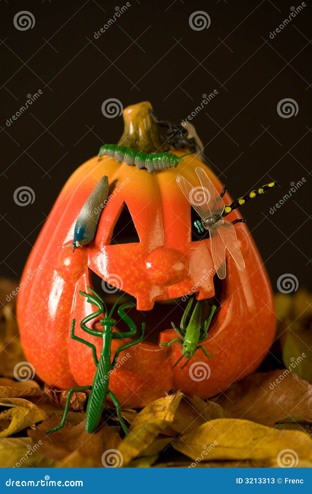 Robaki dynie Halloween. obraz stock. Obraz złożonej z sezon - 3213313