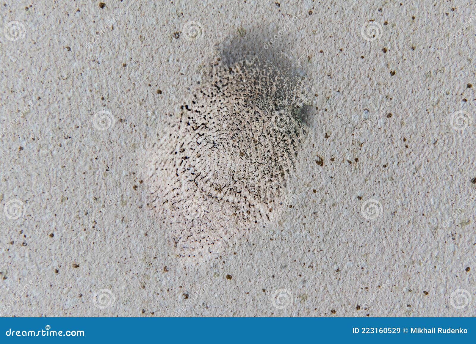 Robber Left His Finger Print on a Metal Surface after Doing a Crimes ...