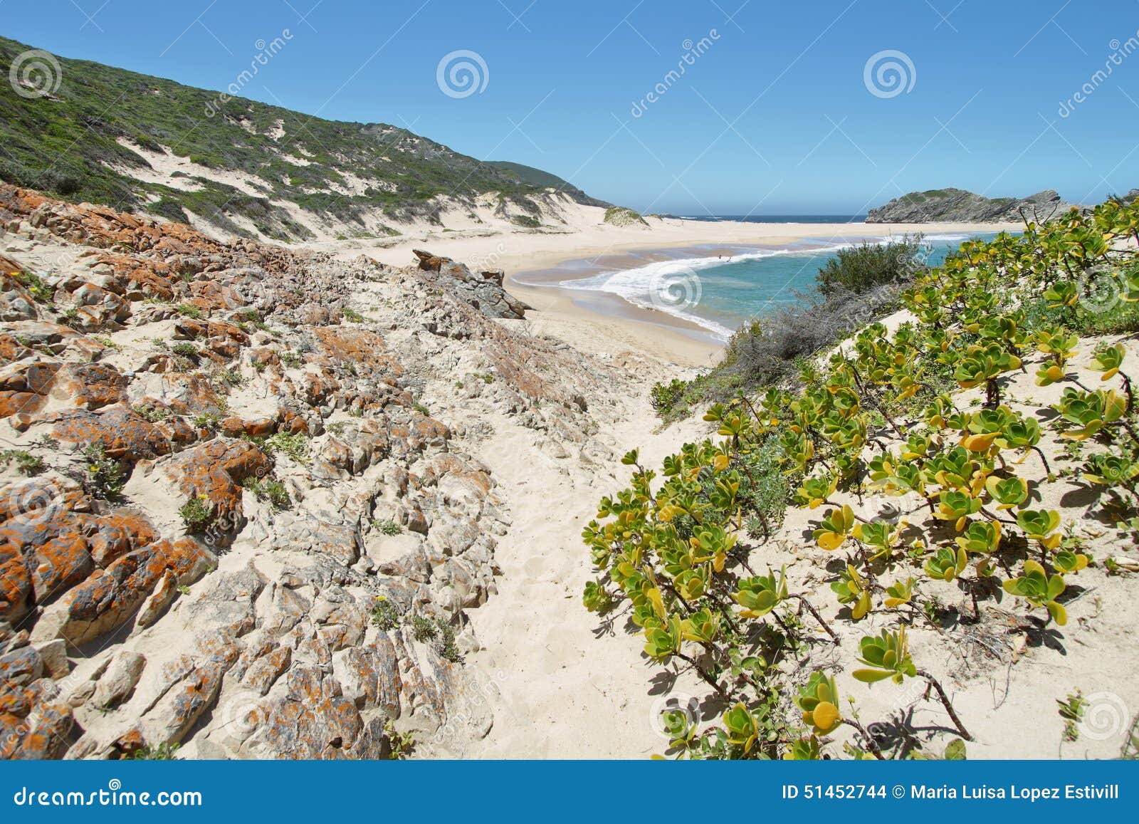 Robberg nature reserve stock photo. Image of peninsula - 51452744