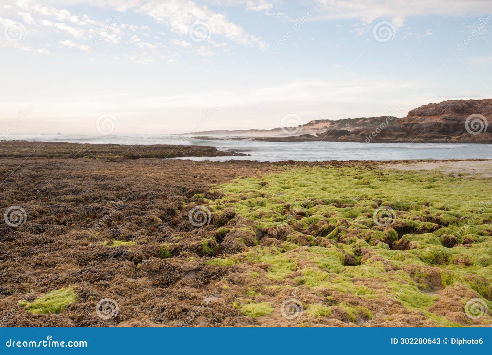 Robe Back Beach stock image. Image of flora, getaway - 302200643