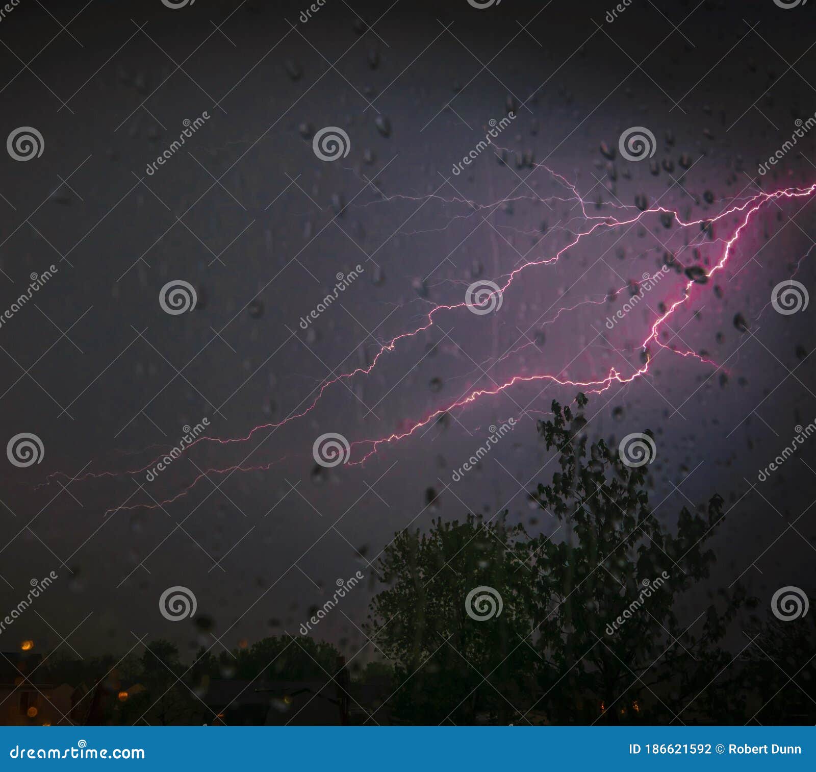 Colorful Pink Lightning Bolt and Streaks on a Stormy Night in Kentucky ...