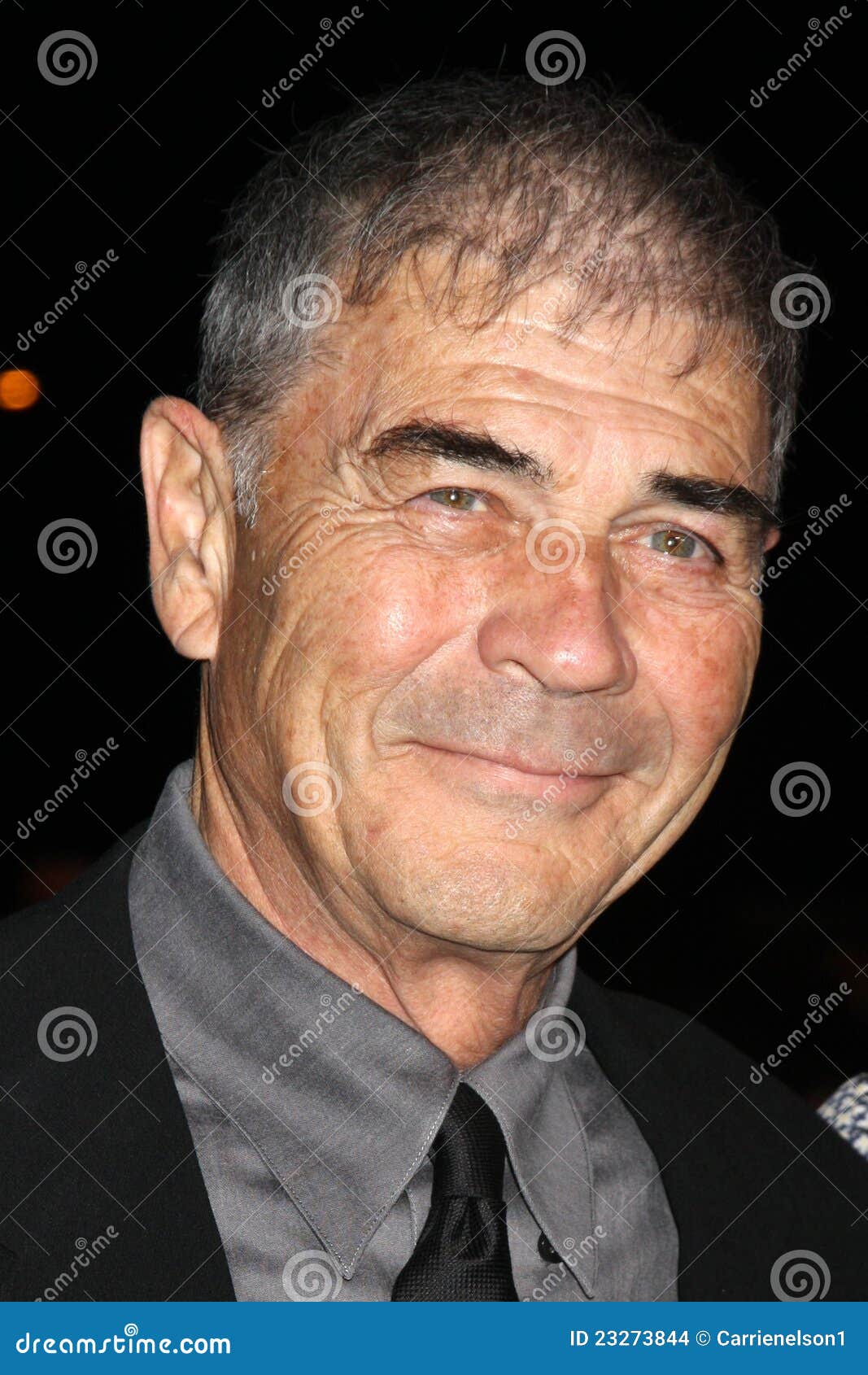 Robert Forster editorial stock image. Image of film, palm - 23273844
