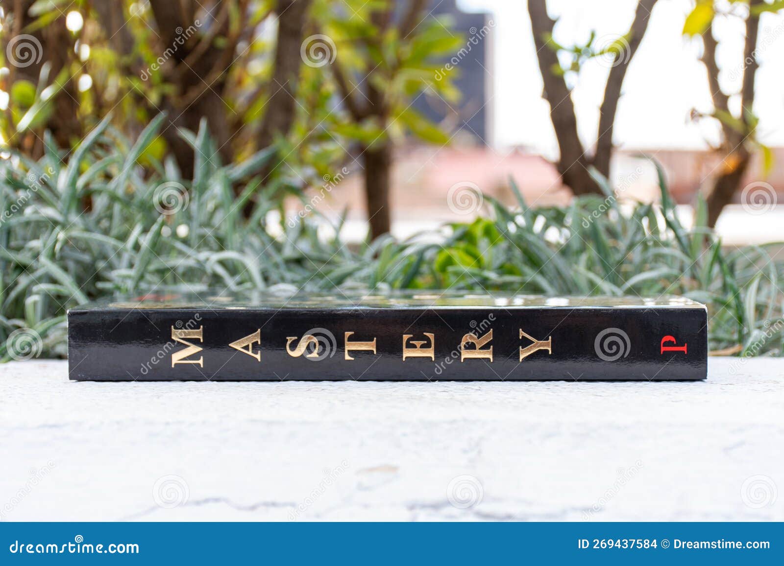 Self Mastery Traffic Sign On Blue Sky Stock Photography | CartoonDealer ...