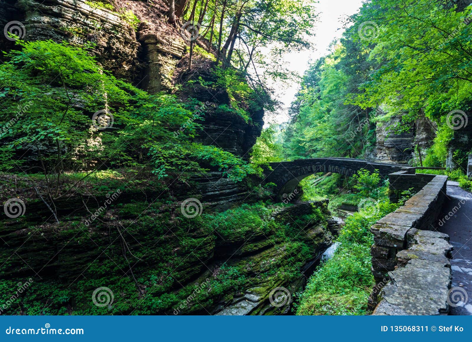 Robert H. Treman State Park: Gorge Trail Stock Image - Image of ithaka ...