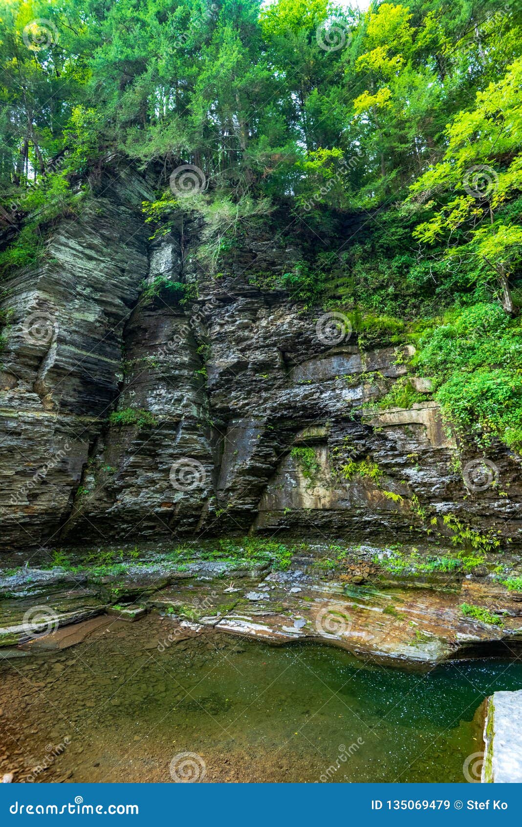 Robert H. Treman State Park: Gorge Trail Stock Image - Image of blue ...