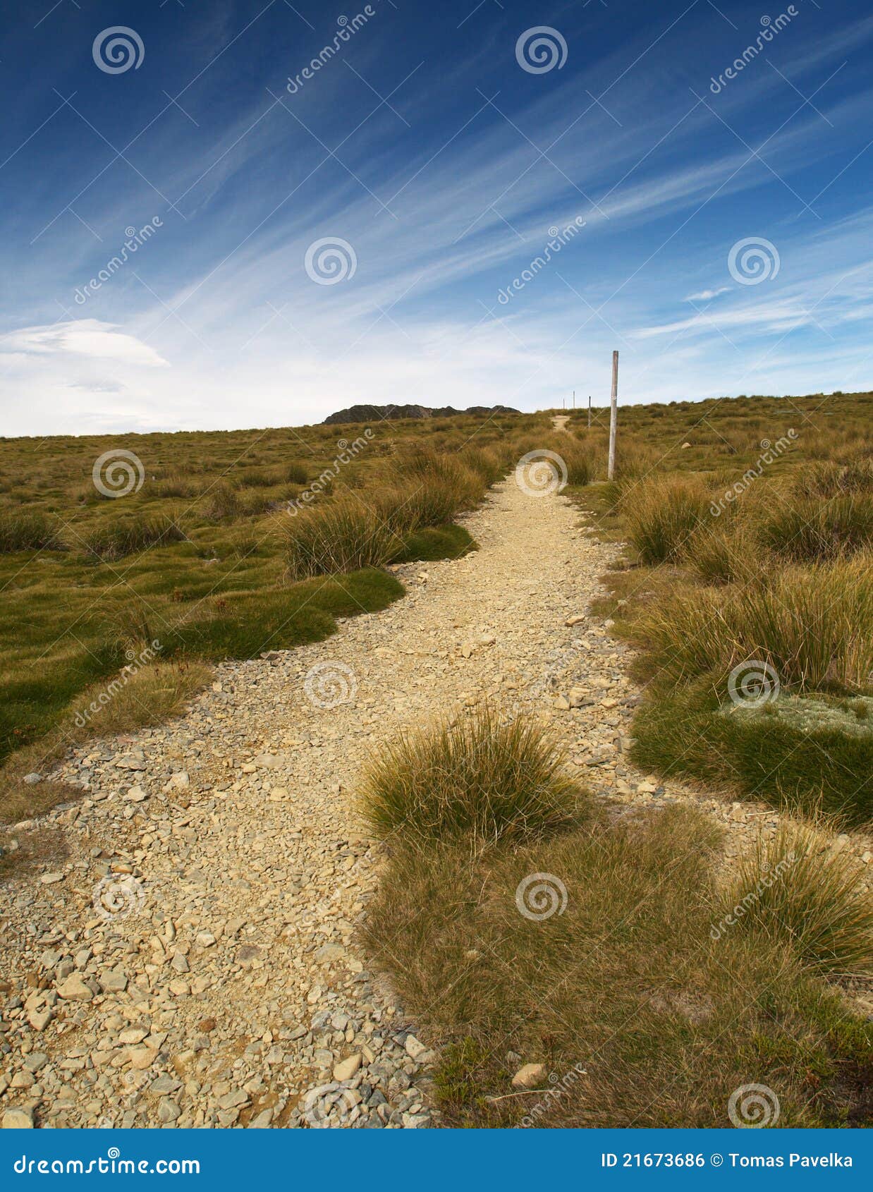 Roberts ridge stock photo. Image of park, national, peak - 21673686