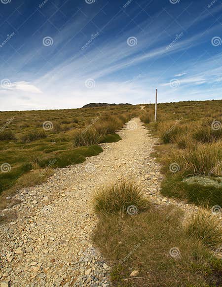 Roberts ridge stock photo. Image of park, national, peak - 21673686