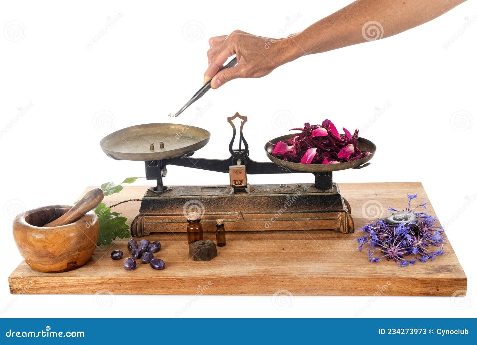 Roberval balance in studio stock image. Image of botany - 234273973