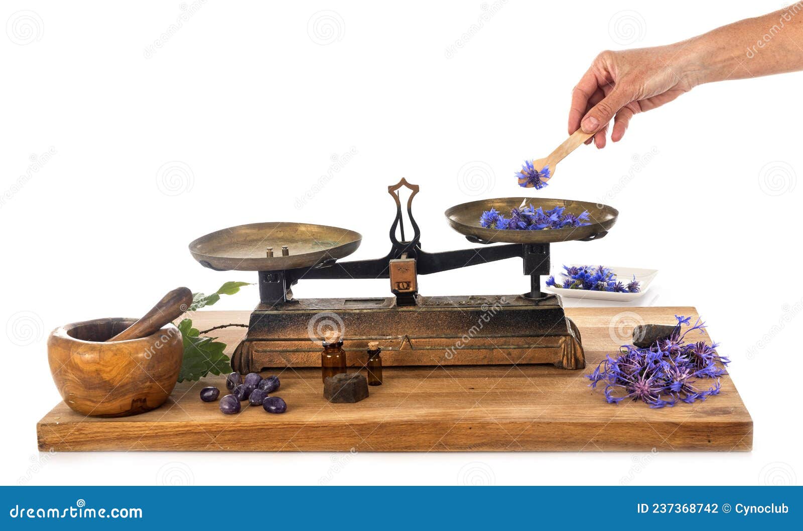 Roberval balance in studio stock photo. Image of olive - 237368742