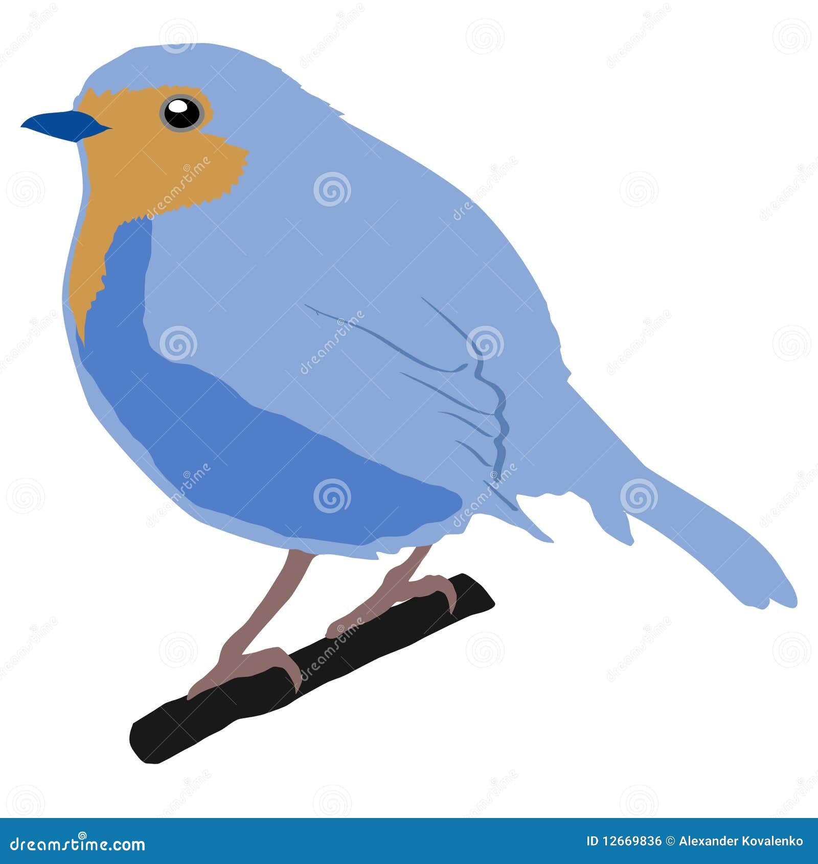 Robin stock vector. Illustration of posing, imagery, wing - 12669836