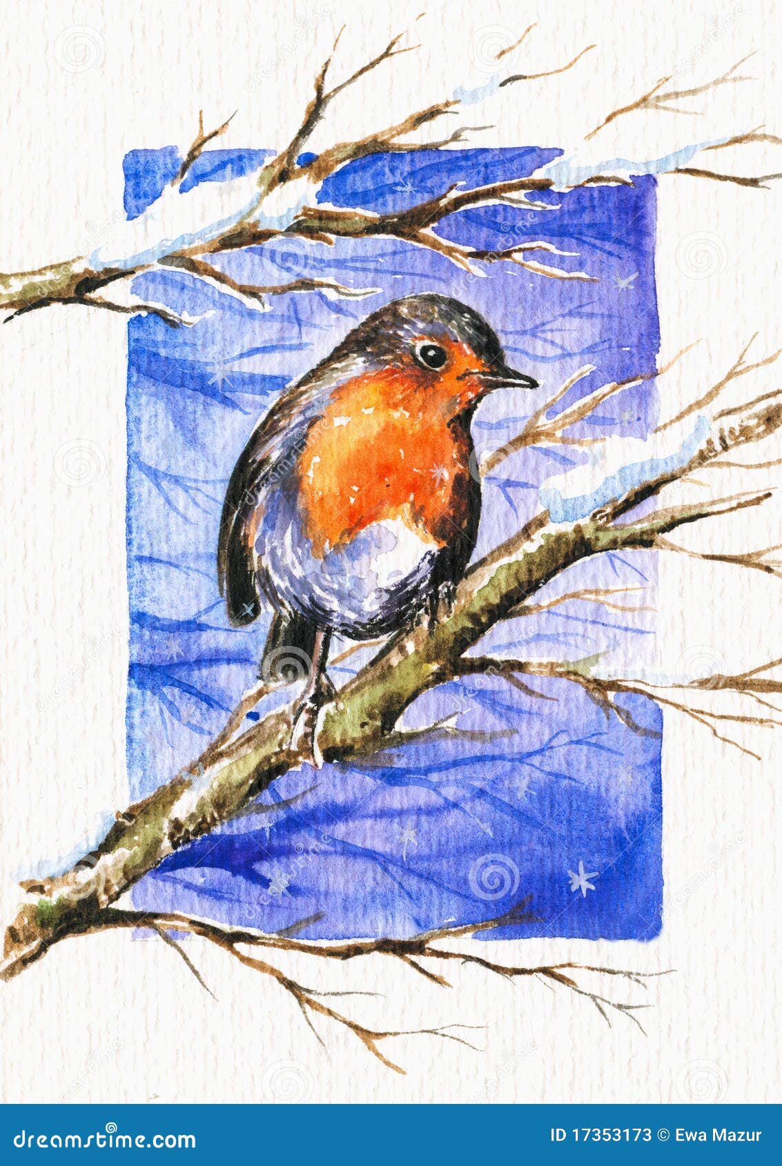 Robin stock illustration. Illustration of beautiful, season - 17353173