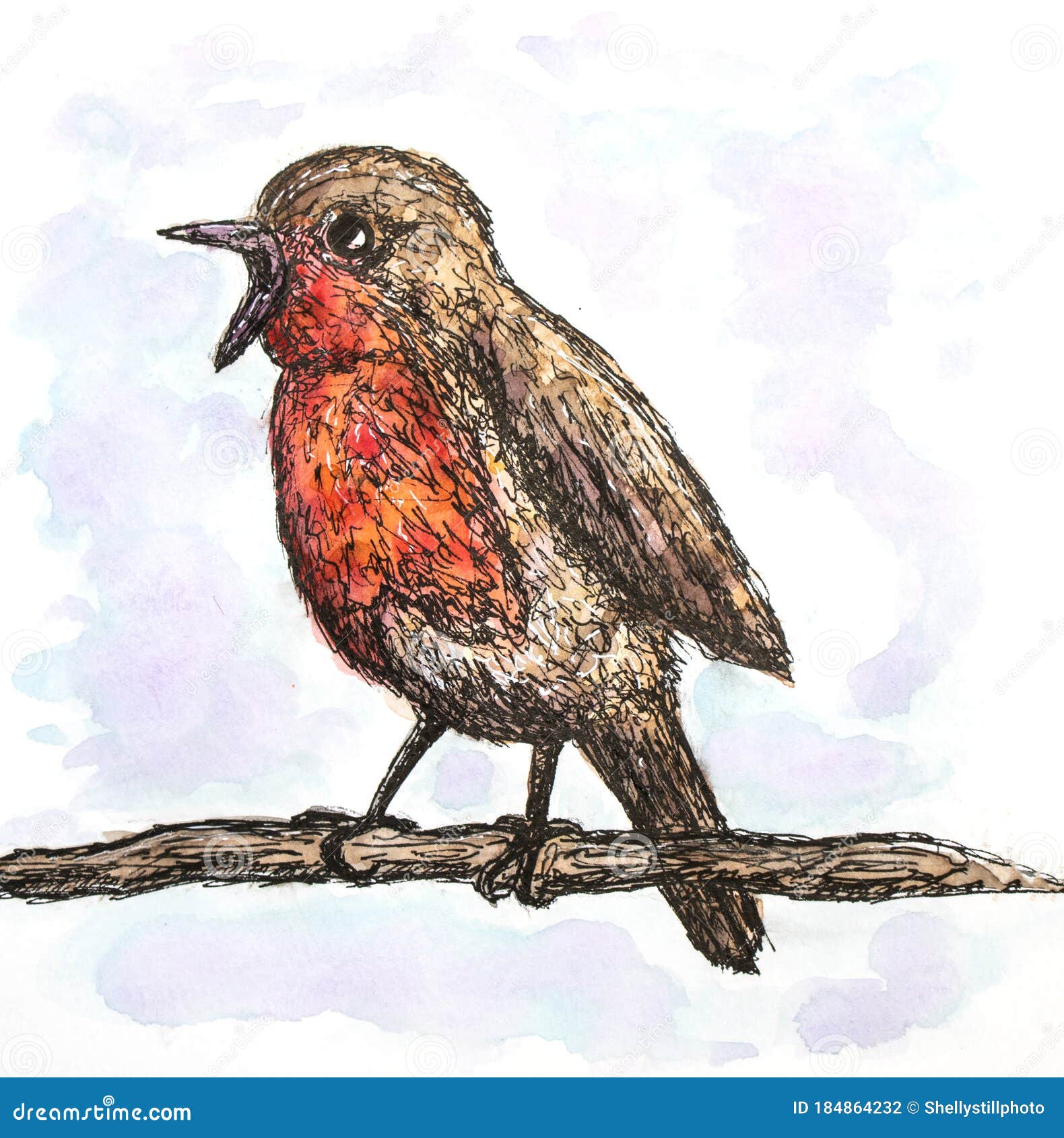 Robin Singing Stock Illustrations – 185 Robin Singing Stock ...