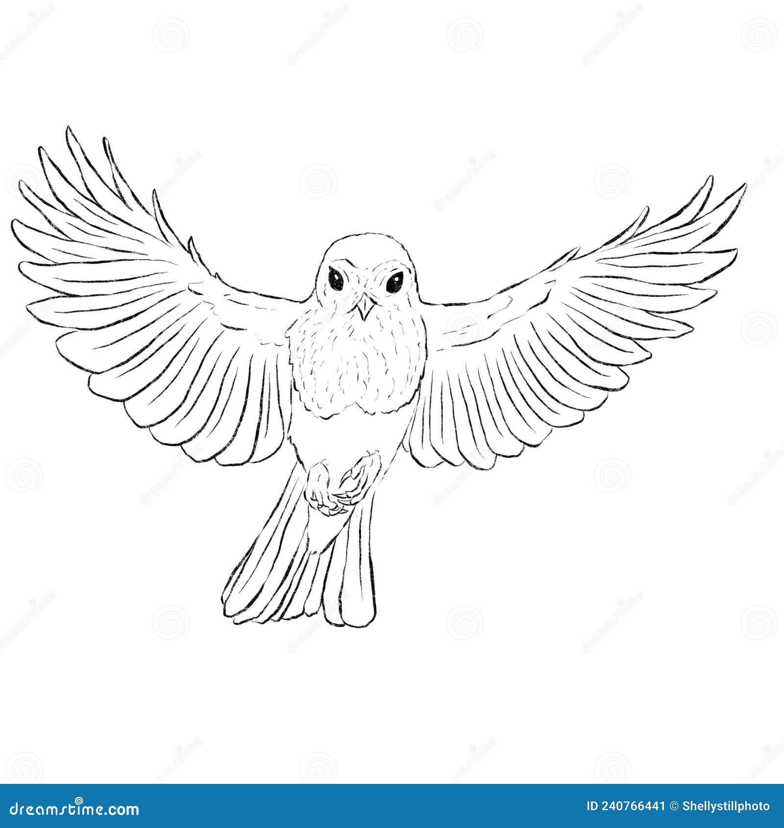 Robin Bird Line Art Logo that is Pencil Drawn on White Background Stock ...