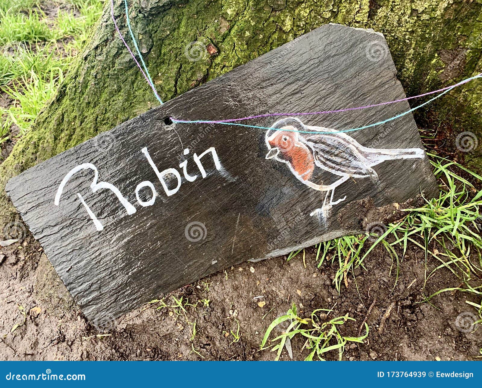 Robin Bird Sign stock image. Image of beak, trunkmitcham - 173764939