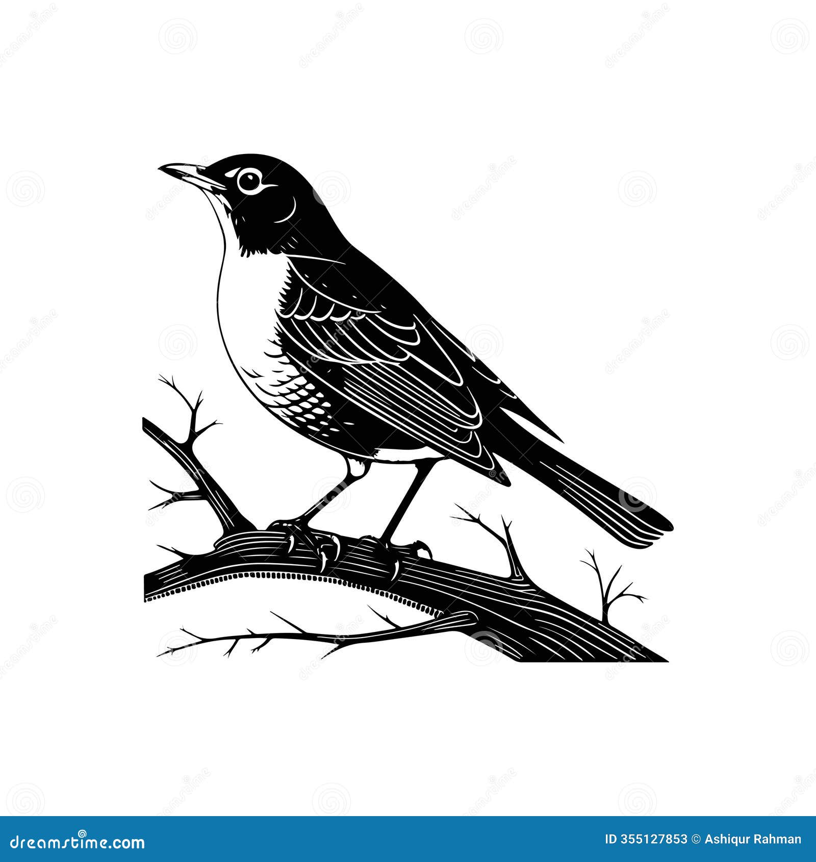 Robin Bird Silhouette Vector Design Stock Illustration - Illustration ...