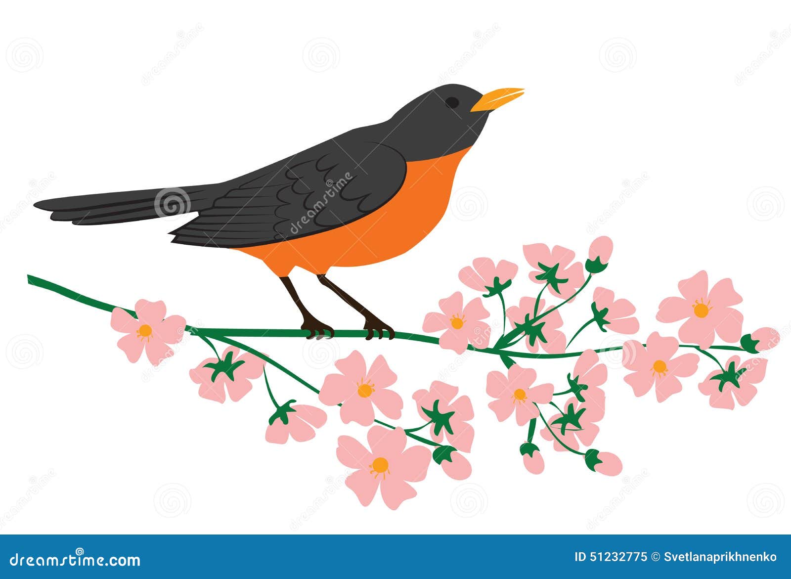 Robin Bird Stock Vector - Image: 51232775
