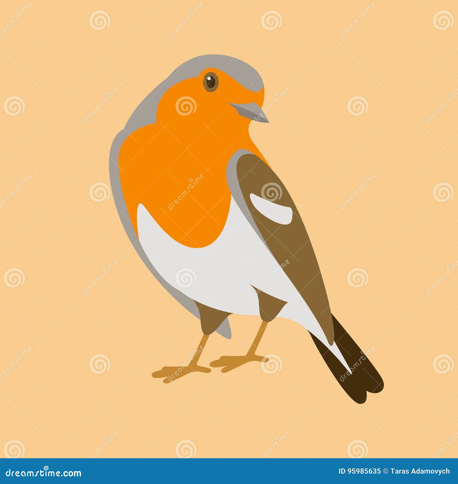 Robin Front Stock Illustrations – 109 Robin Front Stock Illustrations ...