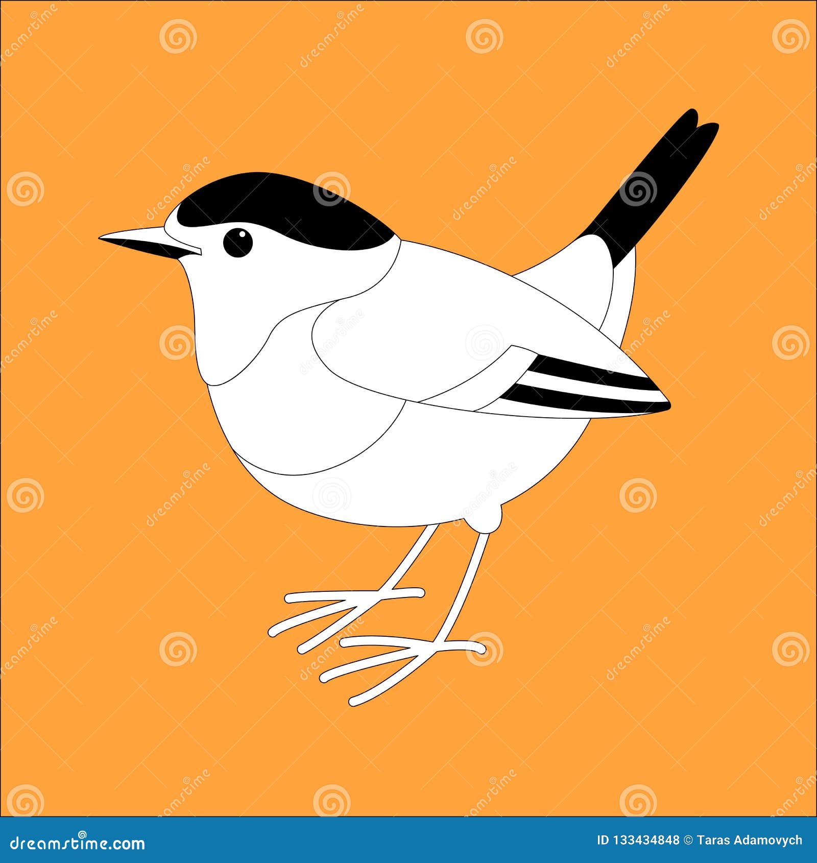 Robin Bird Vector Illustration, Lining Draw ,profile Stock Vector ...