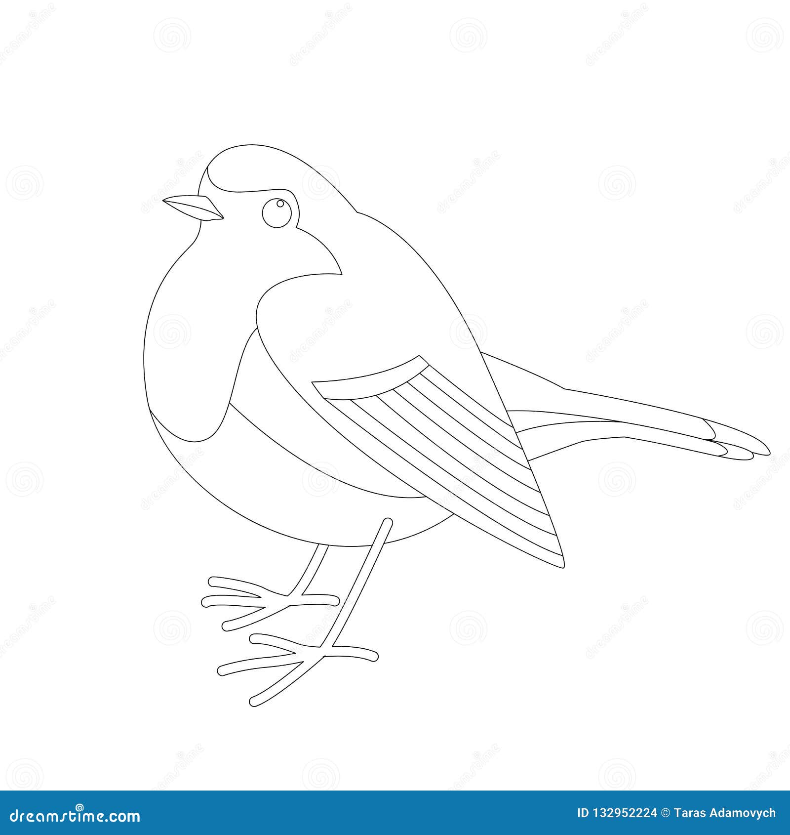 Robin Bird , Vector Illustration ,lining Stock Vector - Illustration of ...