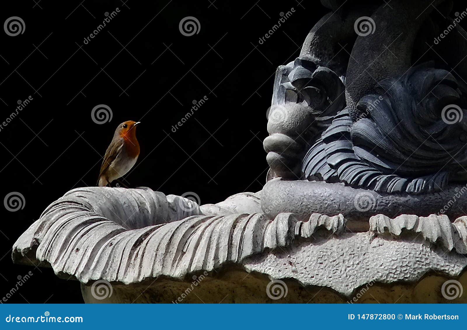 English Robin Looking Up at an Ornate Garden Feature. Stock Photo ...