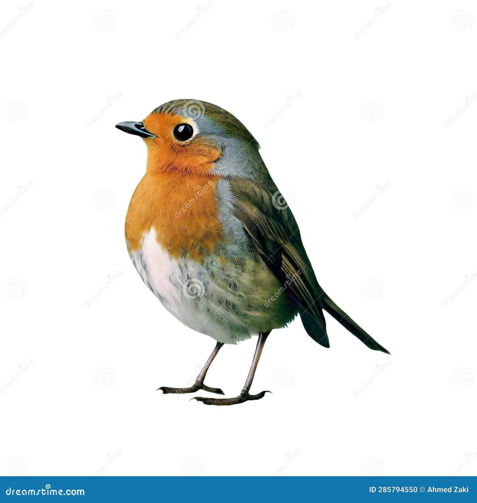 Robin Isolated on a White Background AI-Generated Stock Illustration ...