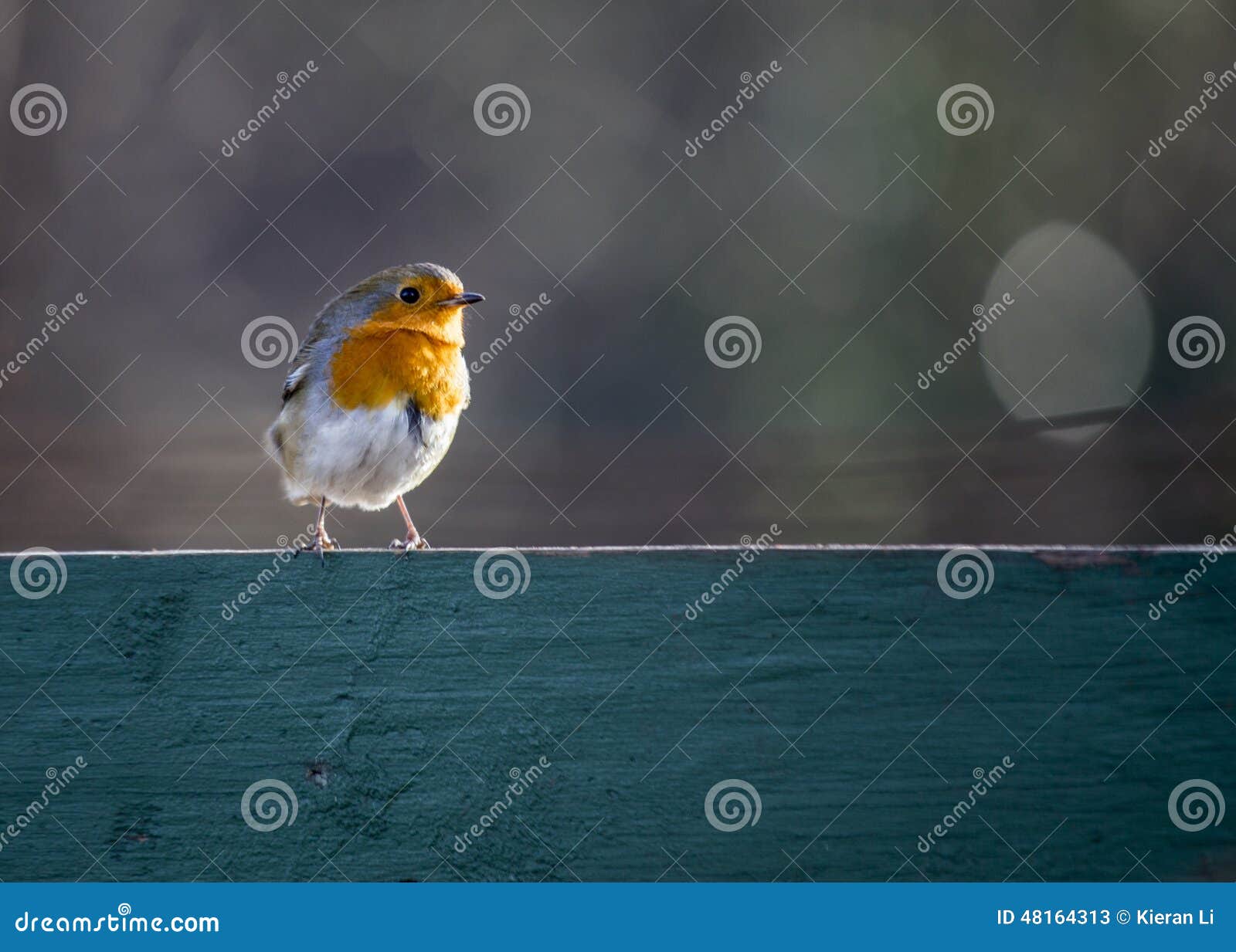 113 Robin River Dodder Photos - Free & Royalty-Free Stock Photos from ...