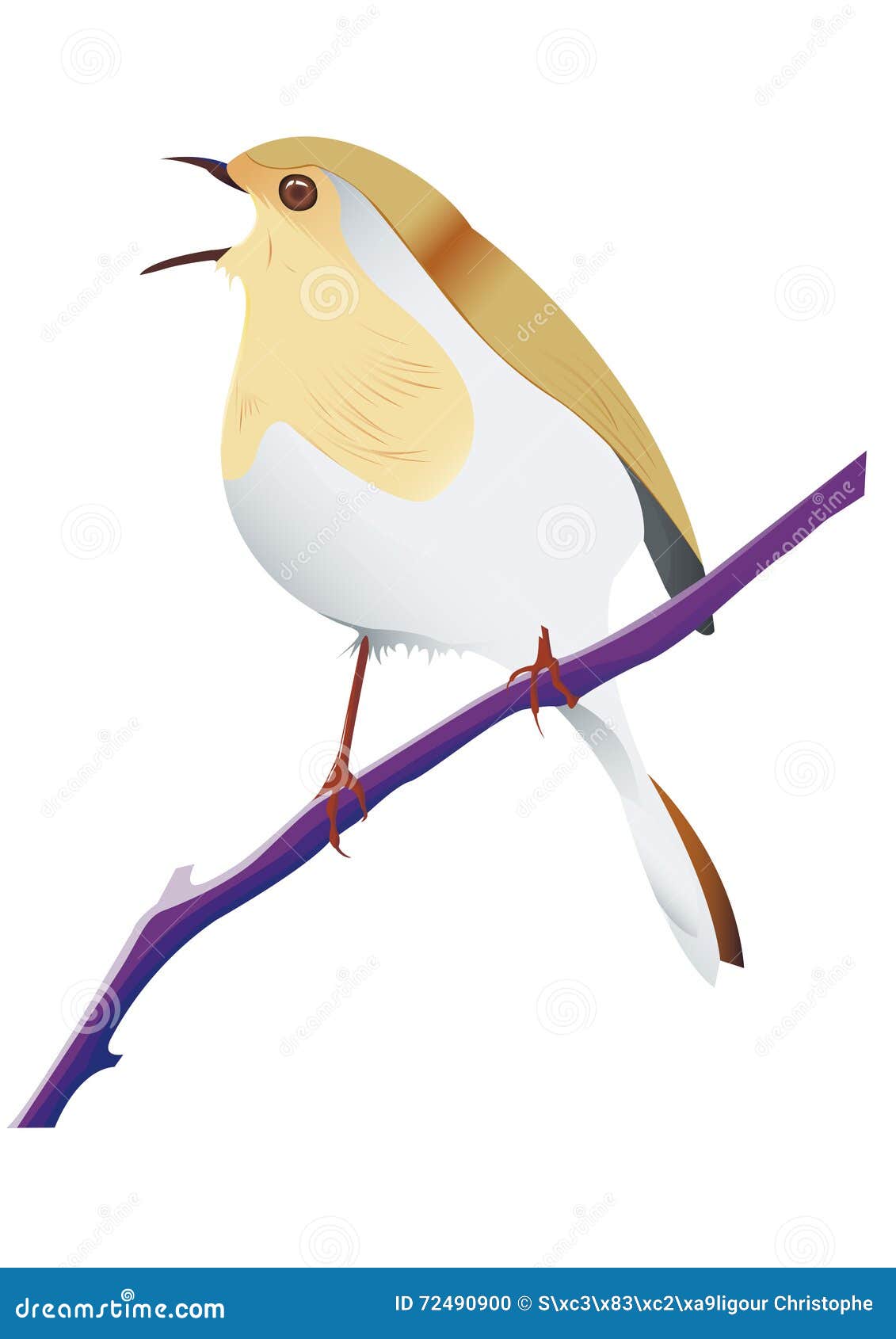 Robin singing stock vector. Illustration of nature, animal - 72490900