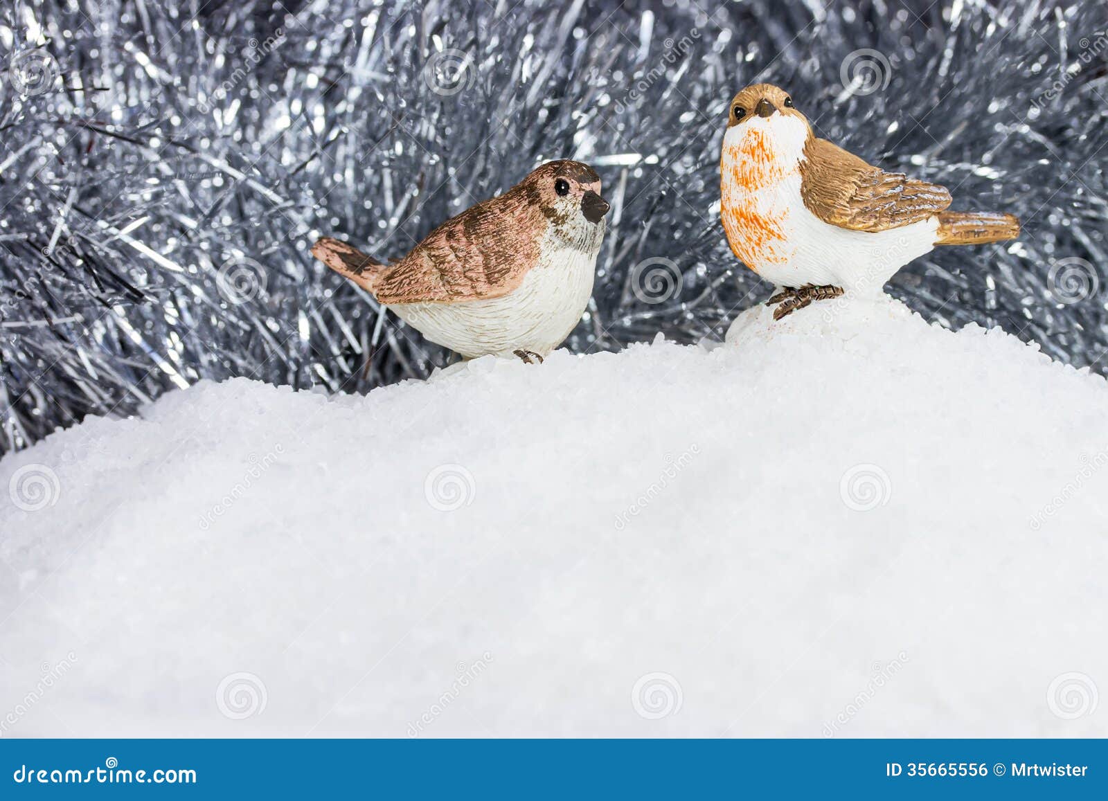 Robin in the snow stock photo. Image of little, space - 35665556