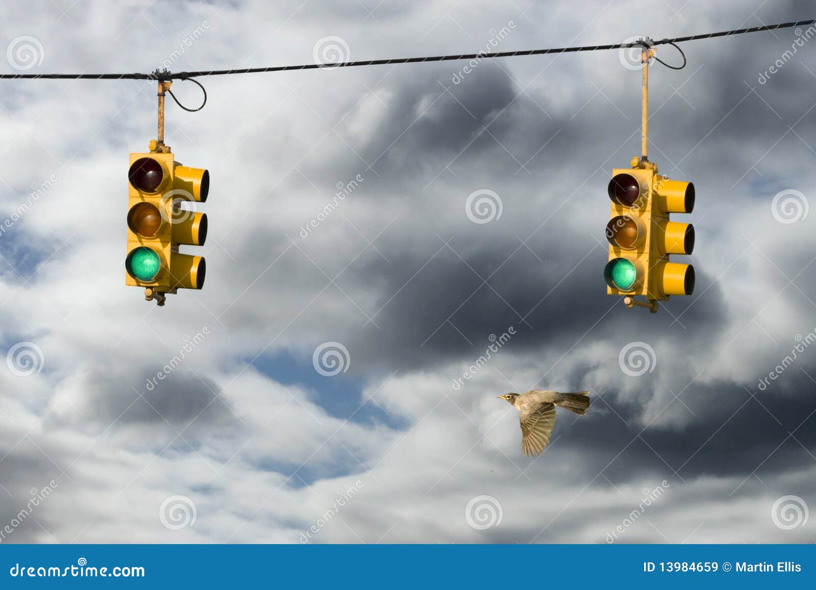 Robin and Traffic Lights stock image. Image of intersection - 13984659