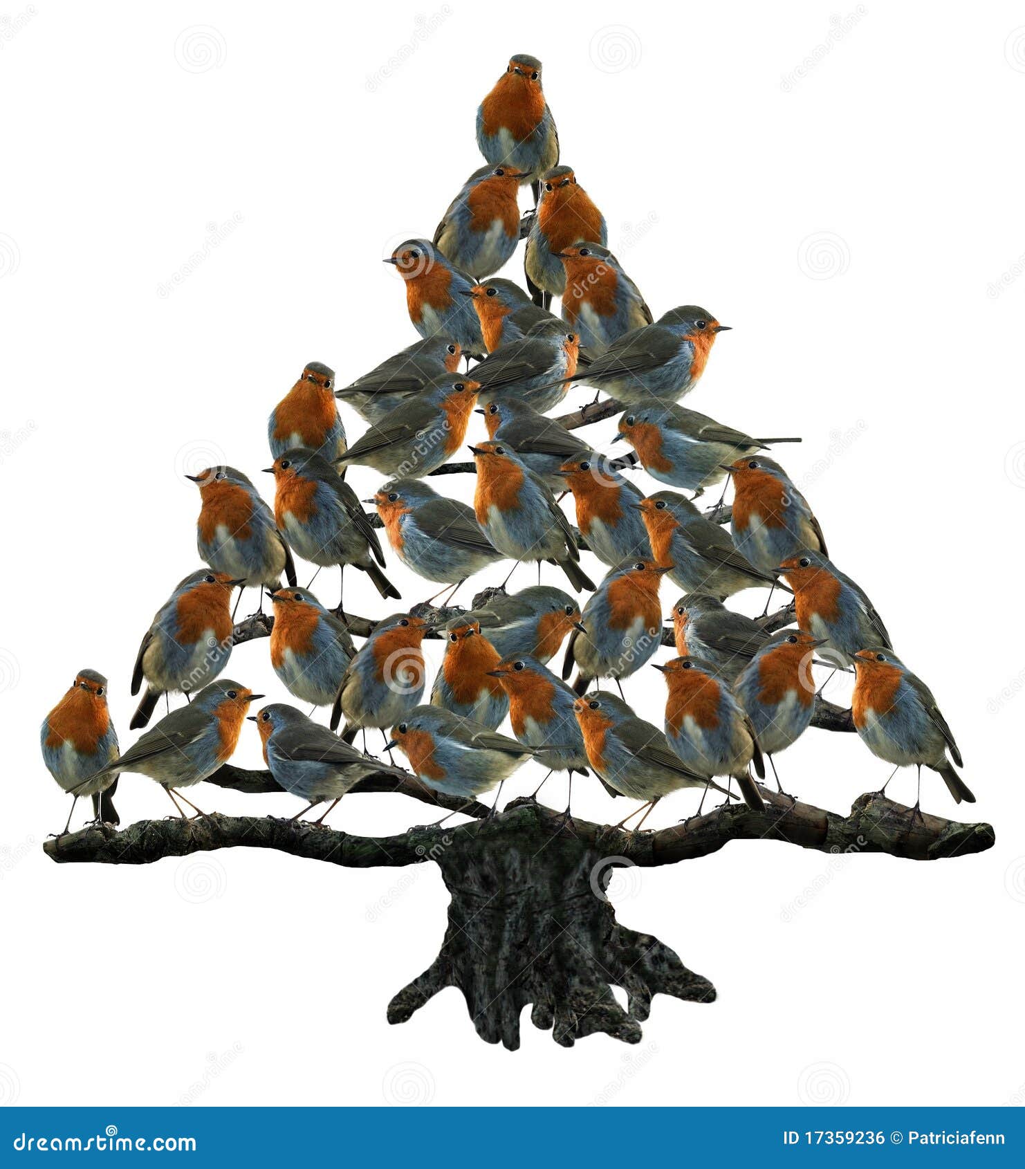 Robin In Tree Royalty-Free Stock Image | CartoonDealer.com #25254502