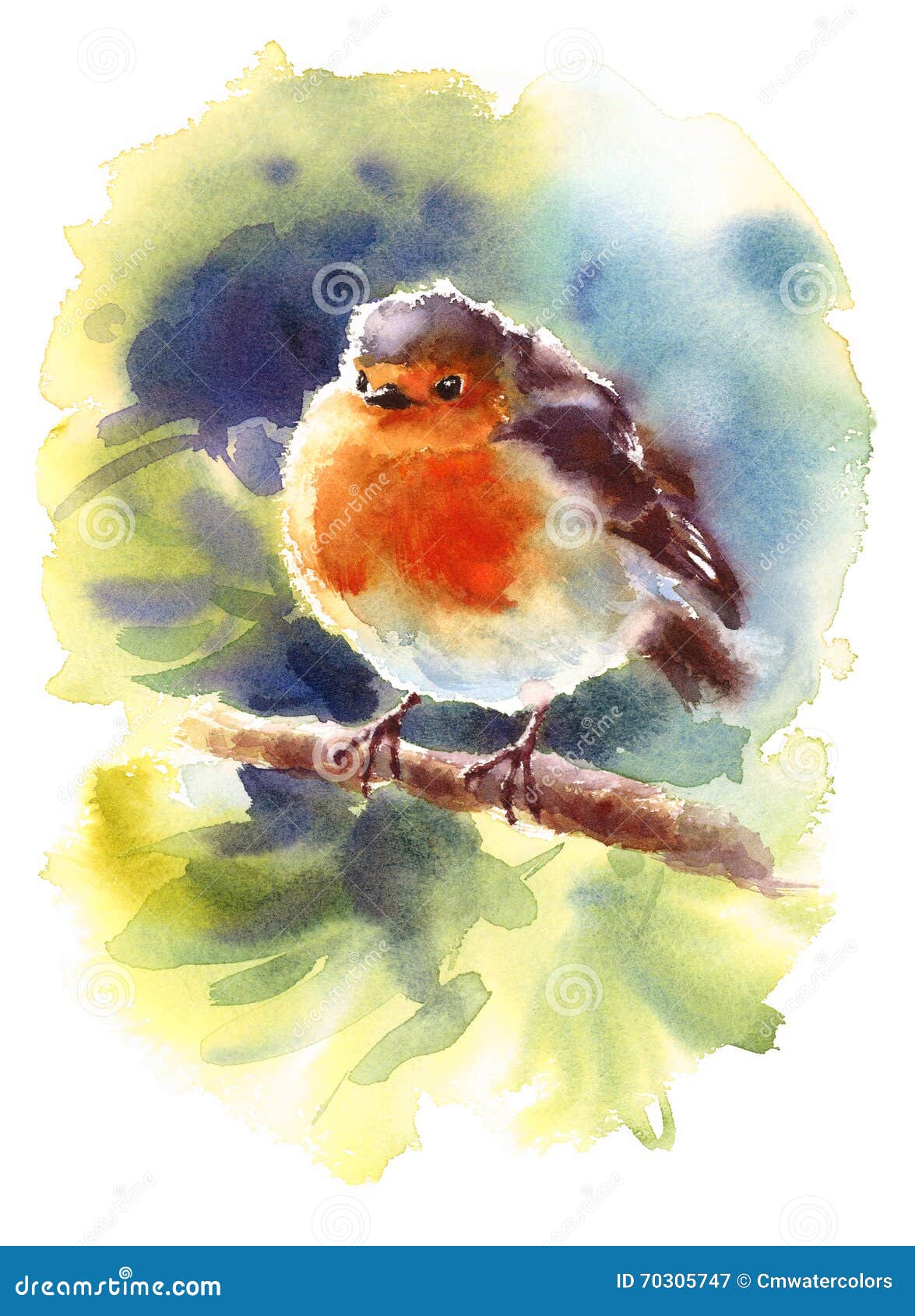 Robin Watercolor Bird Illustration Hand Painted Stock Illustration ...