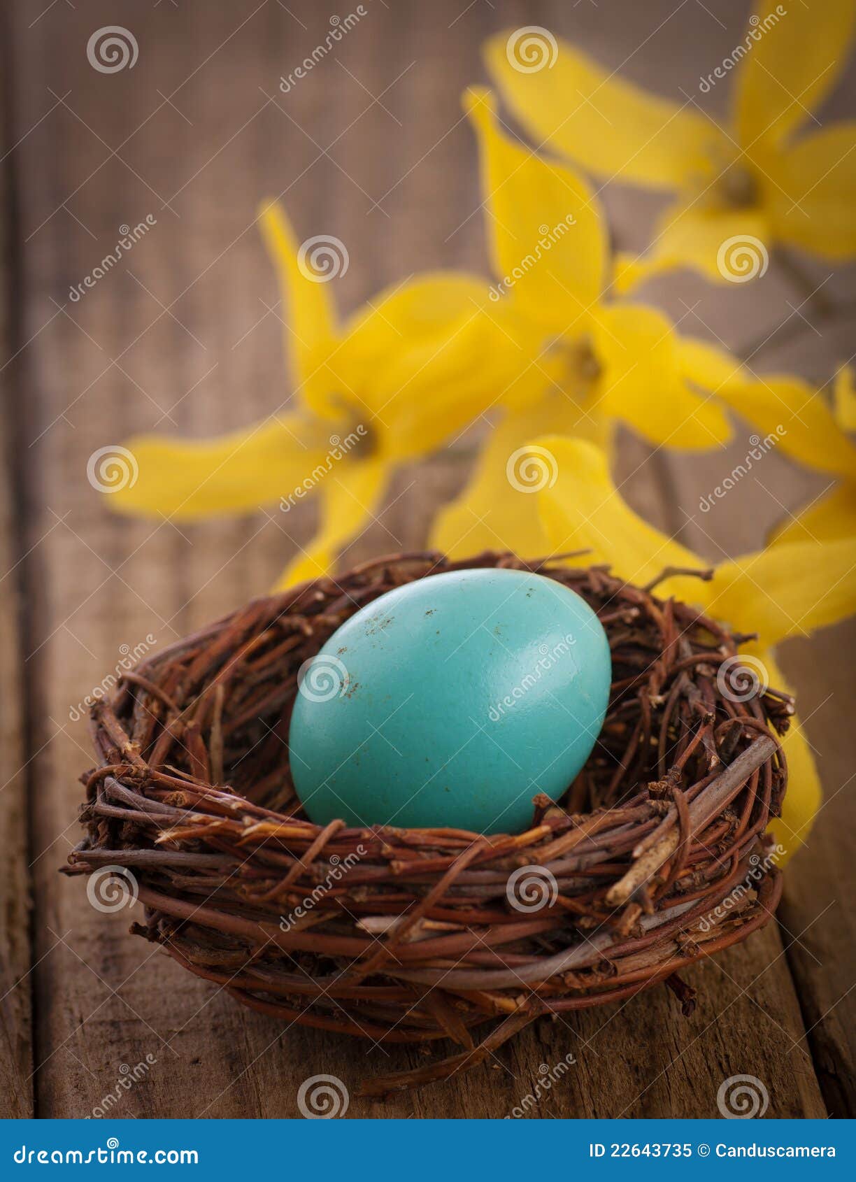 Background Blue Egg Robins Texture Stock Photos - Free & Royalty-Free ...