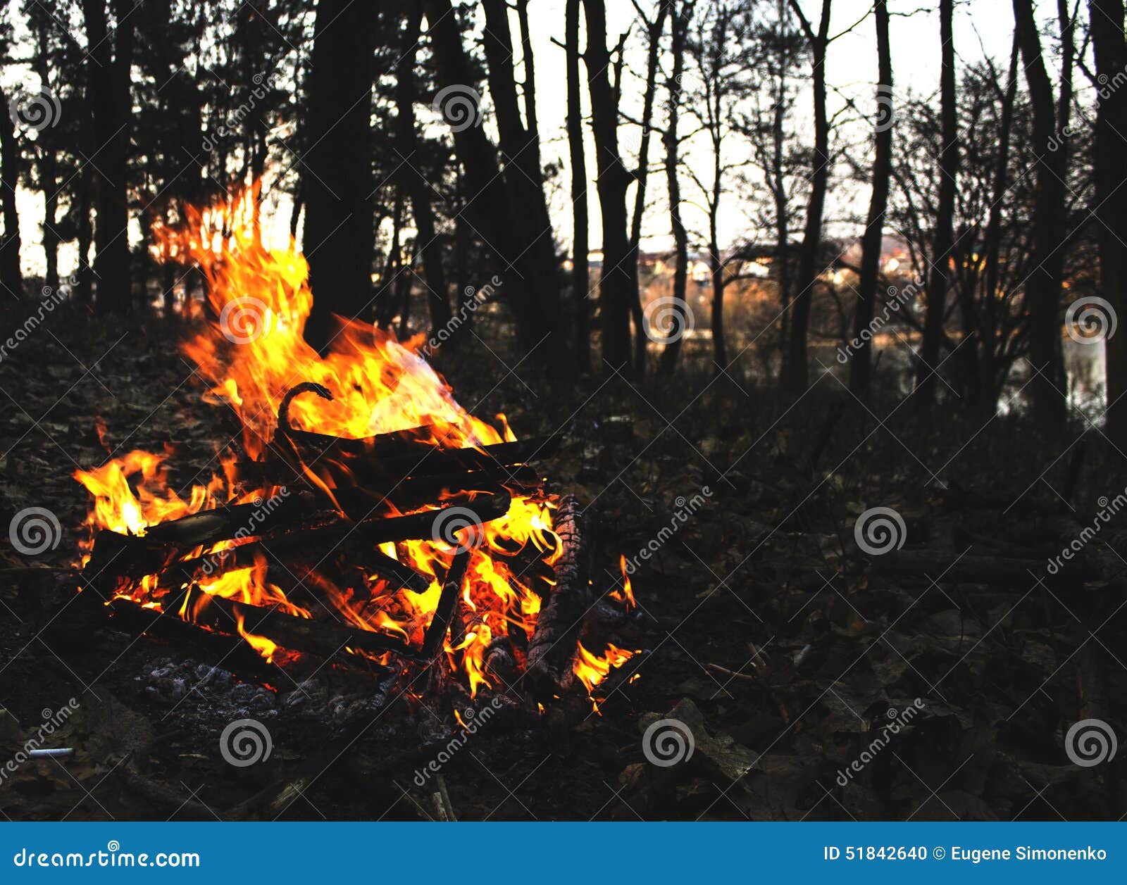 Robinson s fire stock photo. Image of light, beouty, beoutifull - 51842640