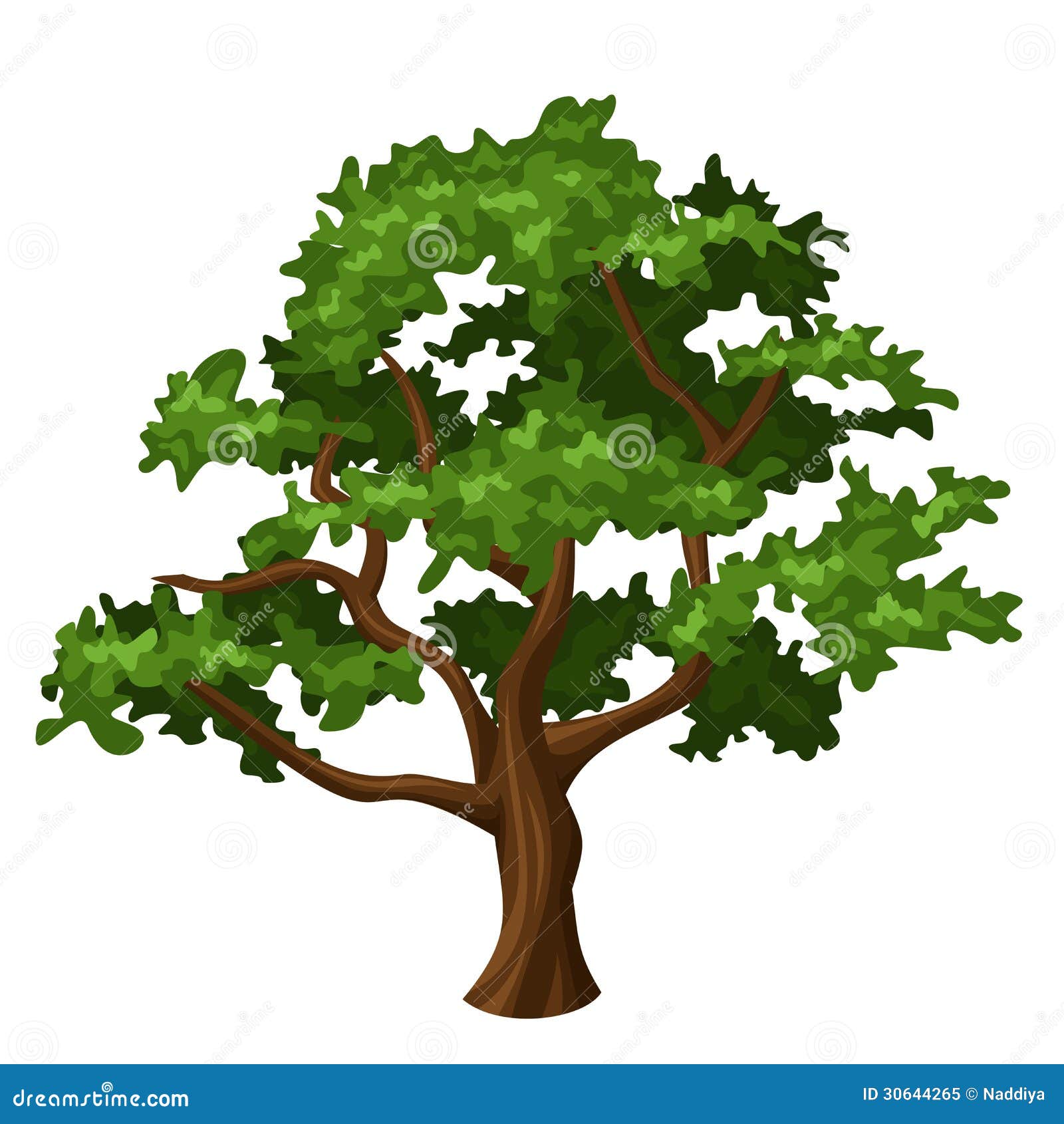 Roble. ilustración del vector. Ilustración de bosque - 30644265