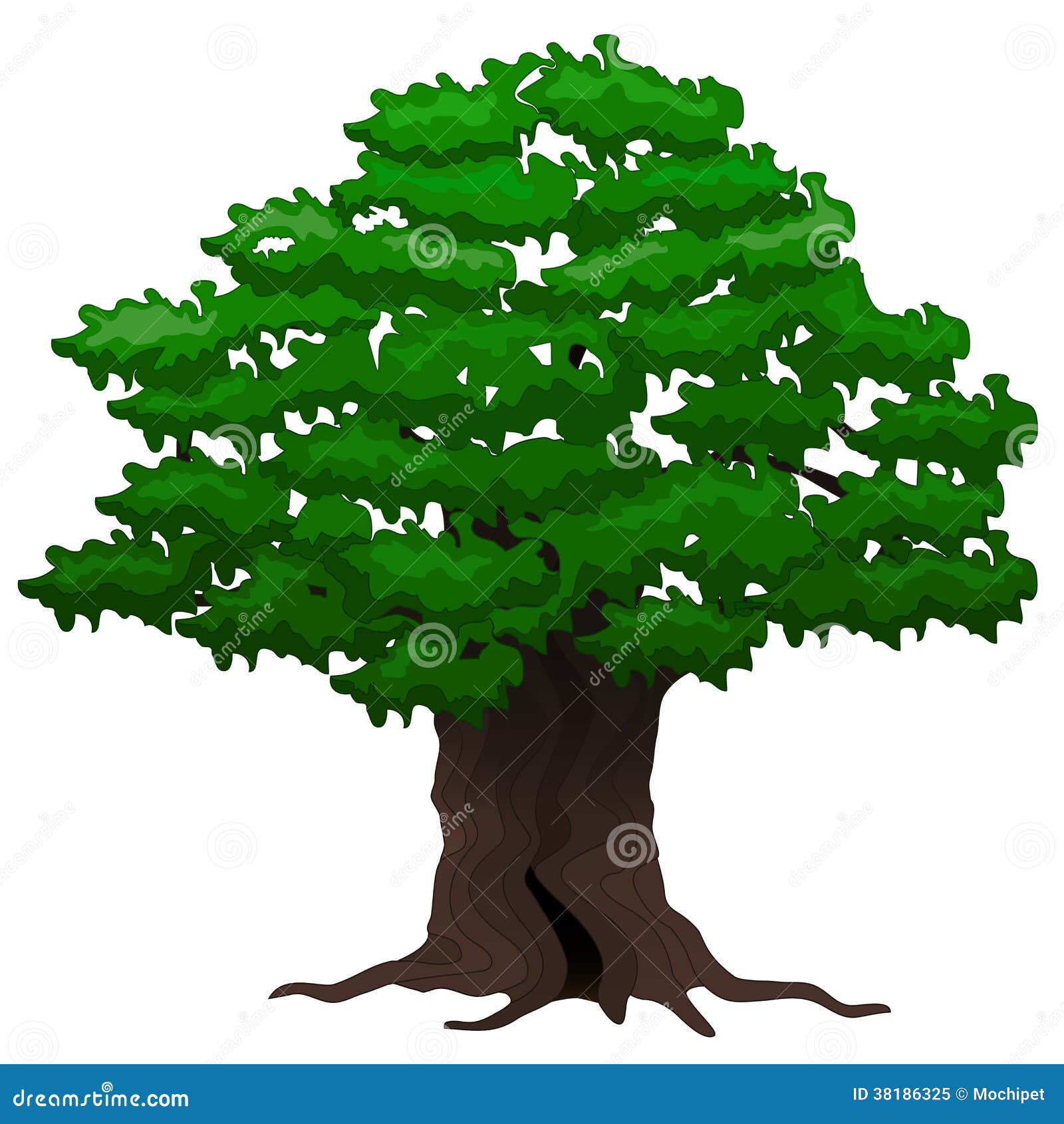 Roble grande ilustración del vector. Ilustración de grieta - 38186325