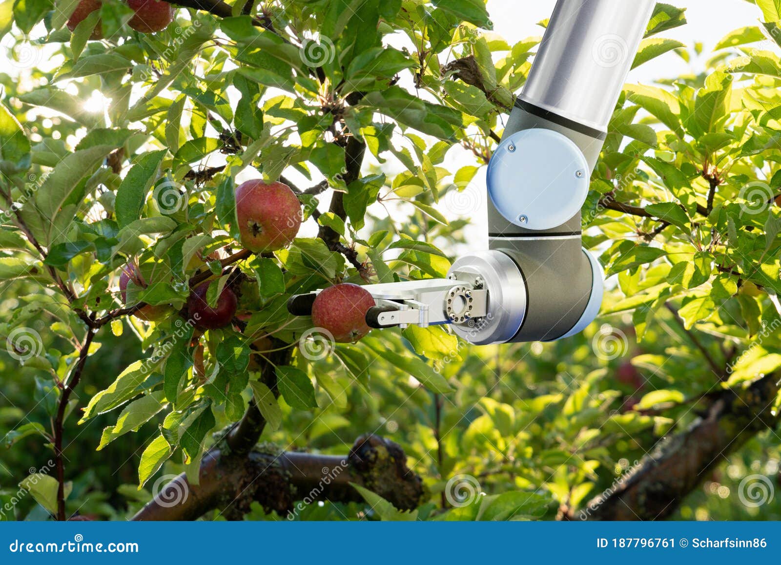 Robot Arm is Working in the Smart Farm Stock Image - Image of ...