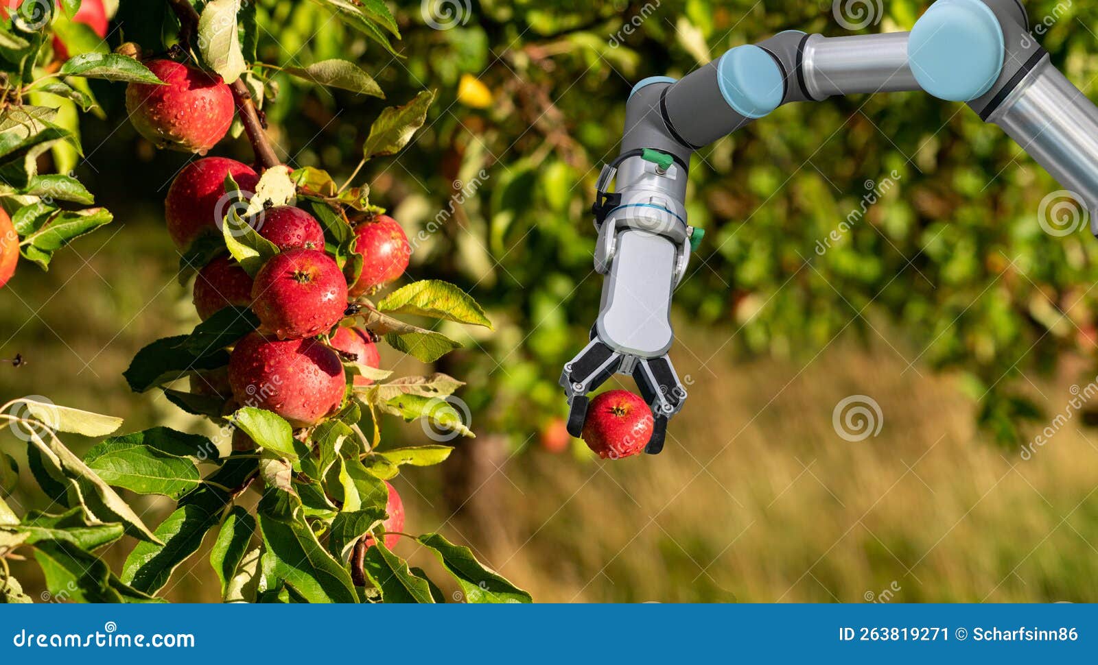Robot Arm is Working in the Smart Farm. Stock Image - Image of ...