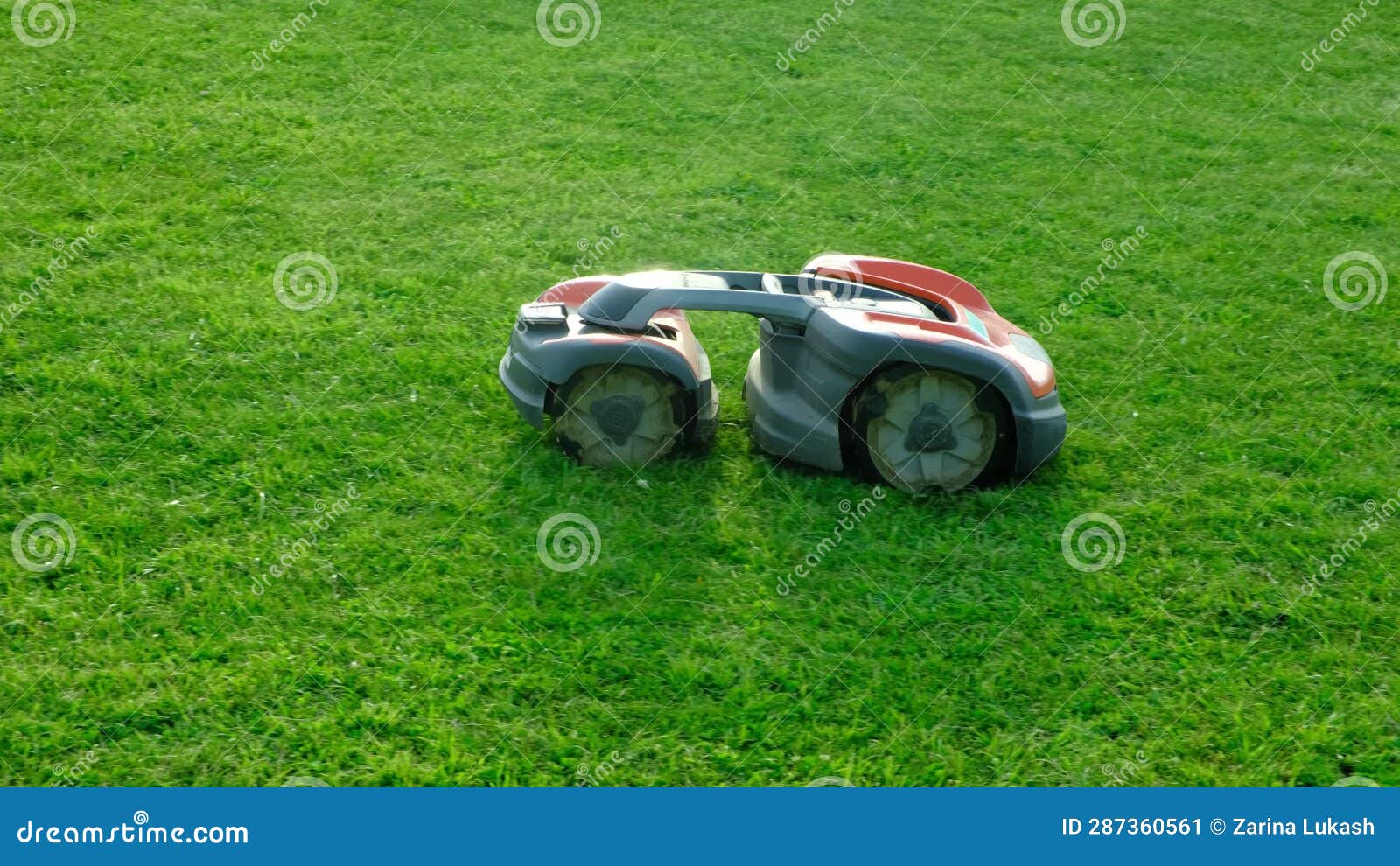 Robot Automatic Lawn Mower Mows the Grass. Stock Video - Video of ...