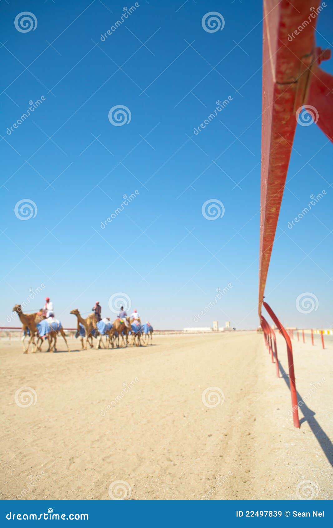 Robot camel racing stock image. Image of leashes, saddled - 22497839
