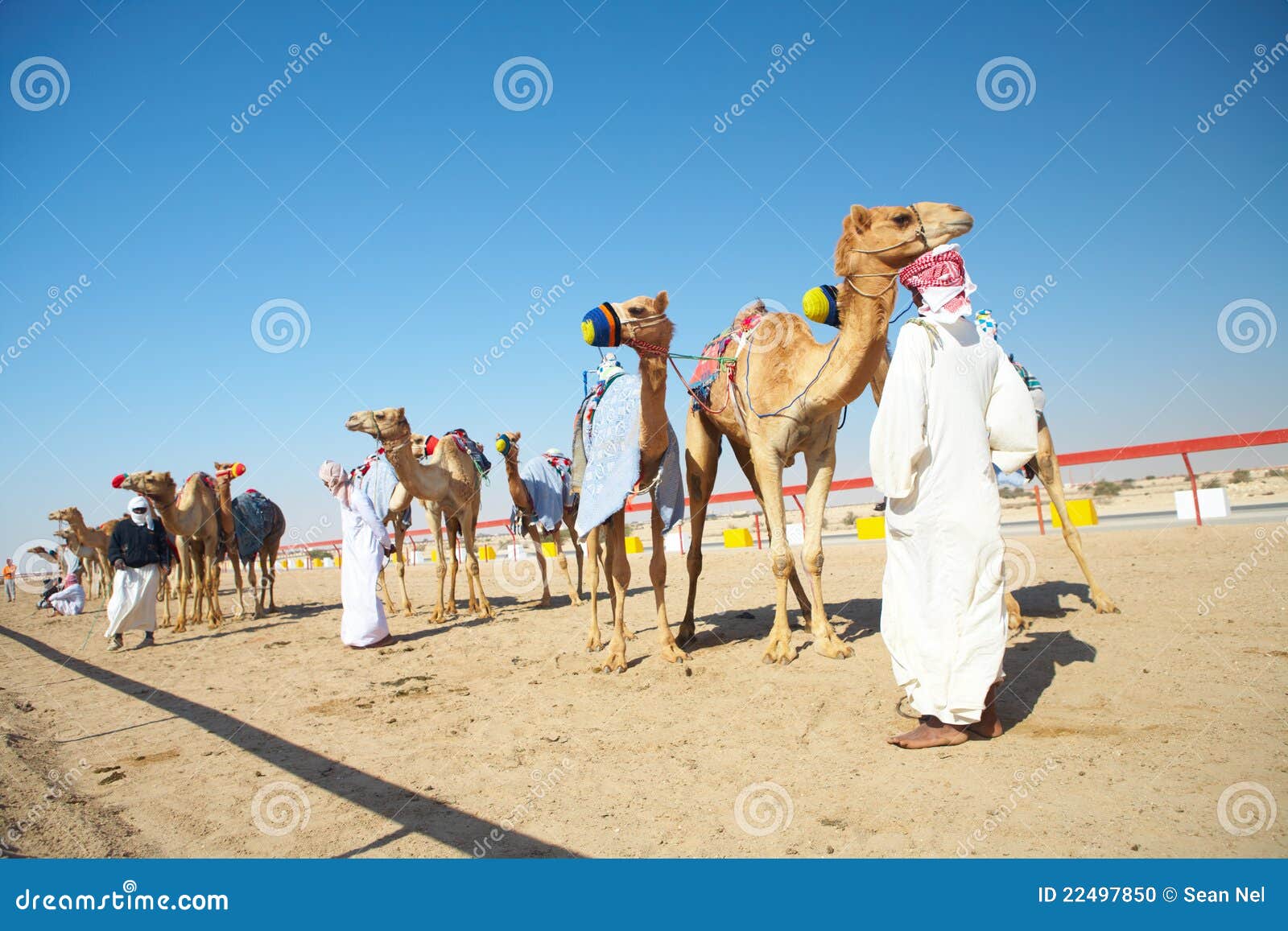 Robot camel racing stock photo. Image of controlled, robot - 22497850
