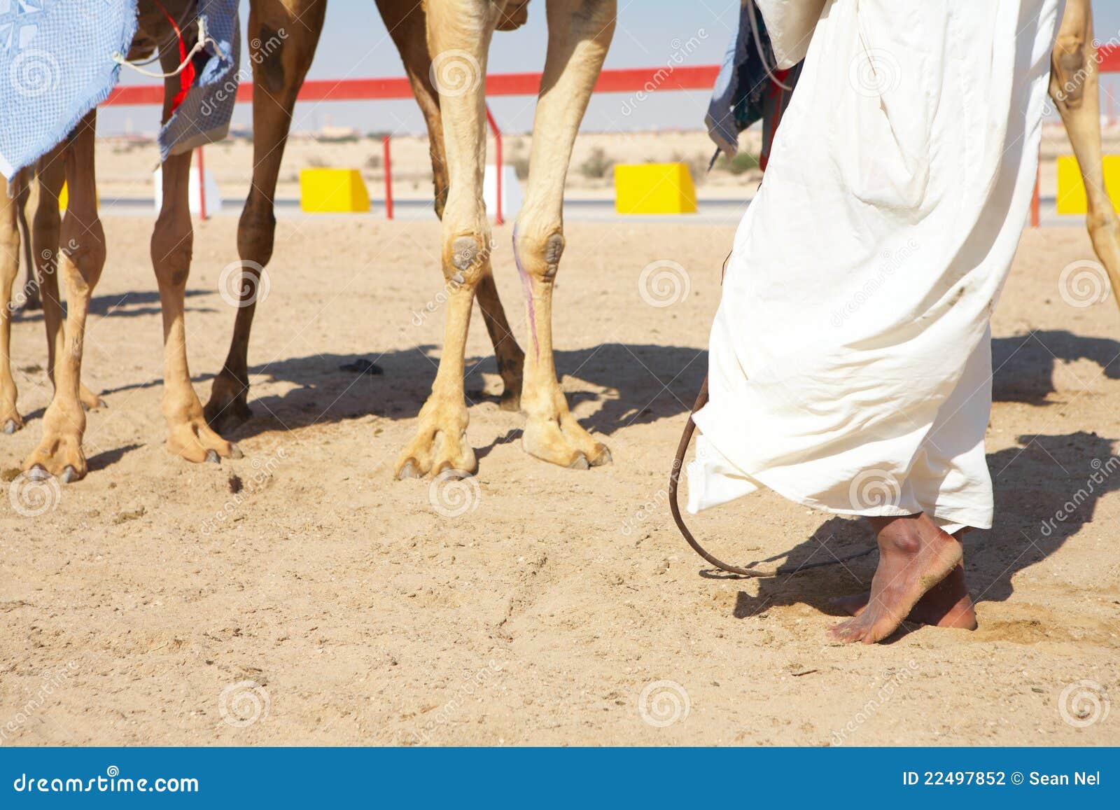 Robot camel racing stock photo. Image of animal, middle - 22497852