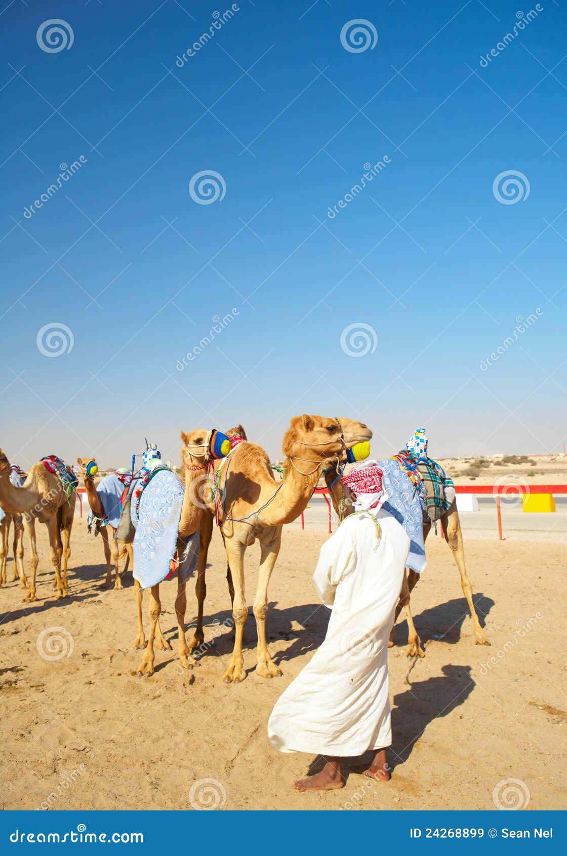 Robot camel racing stock image. Image of middle, legs - 24268899