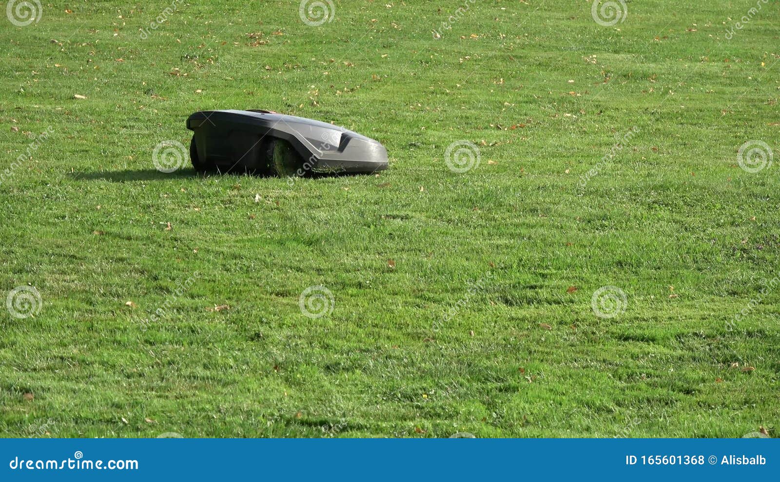 Robot Cut Grass - Modern Robotic Lawn Mower at Work Stock Footage ...