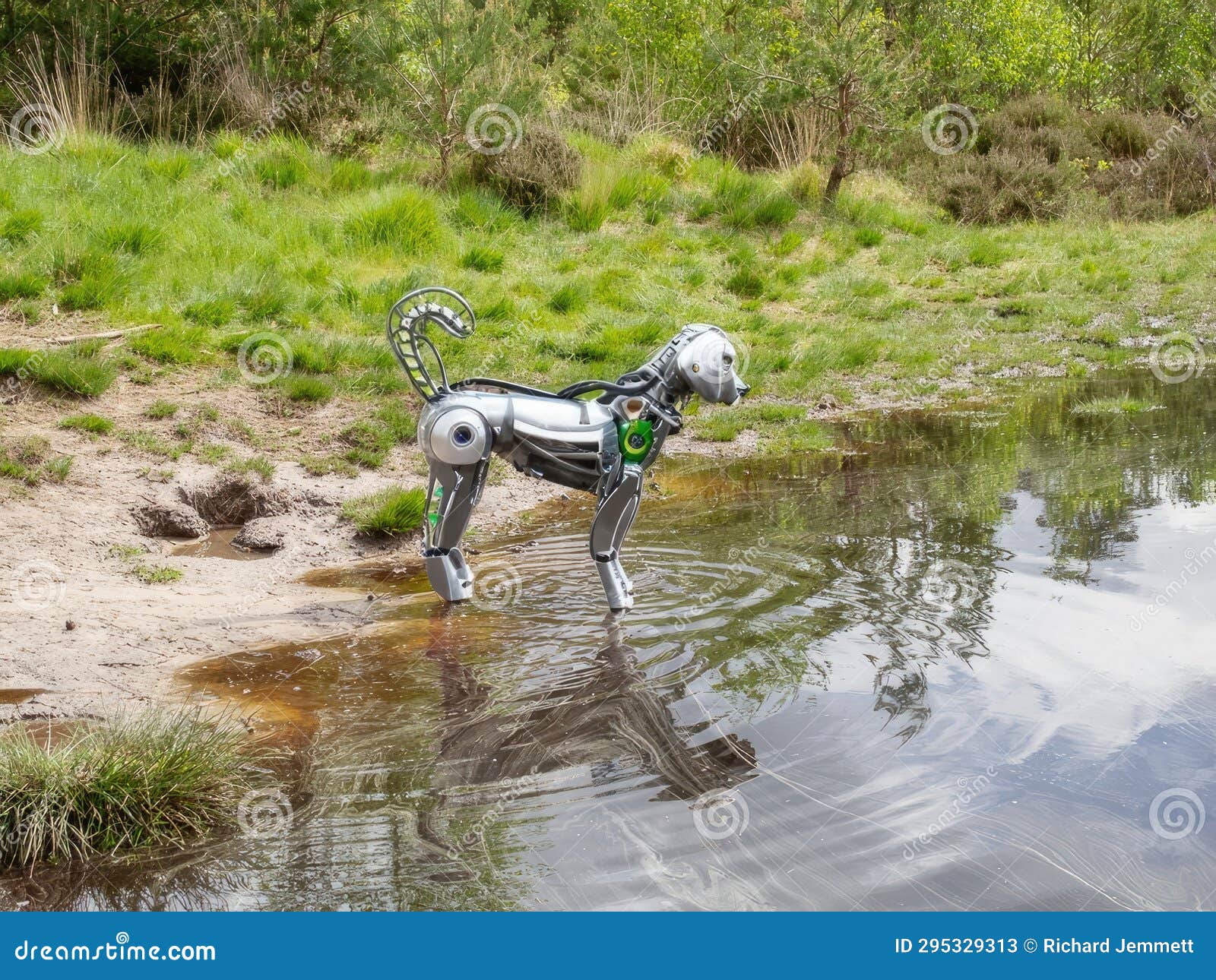 Robot Dog Standing in a Pool of Water Stock Illustration - Illustration ...