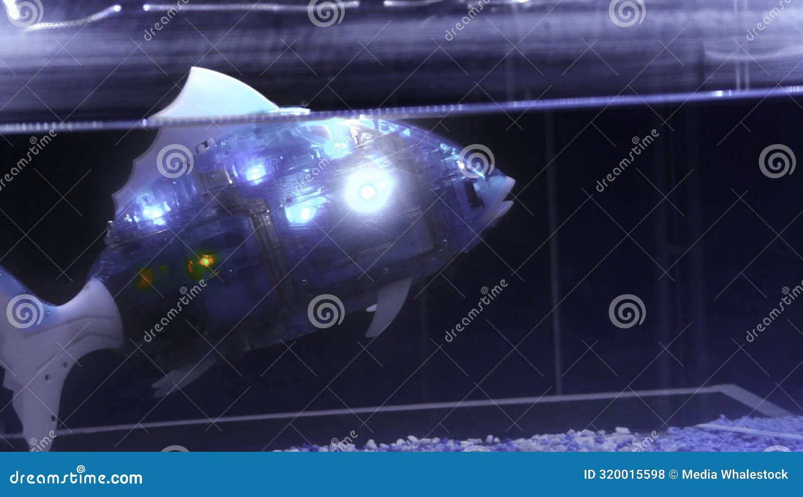 A Robot Fish in Aquarium. Media. Artificial Version of Robot Fish ...