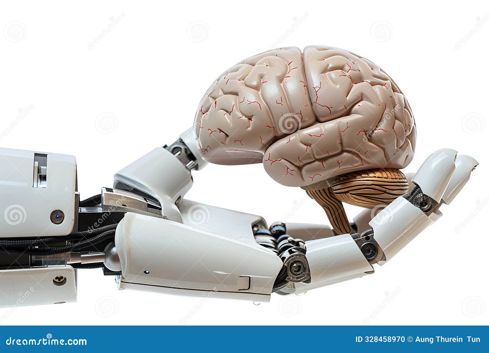 A Robot Hand and Human Brain, a Concept for Human Intelligence and Artificial Intelligence Stock ...