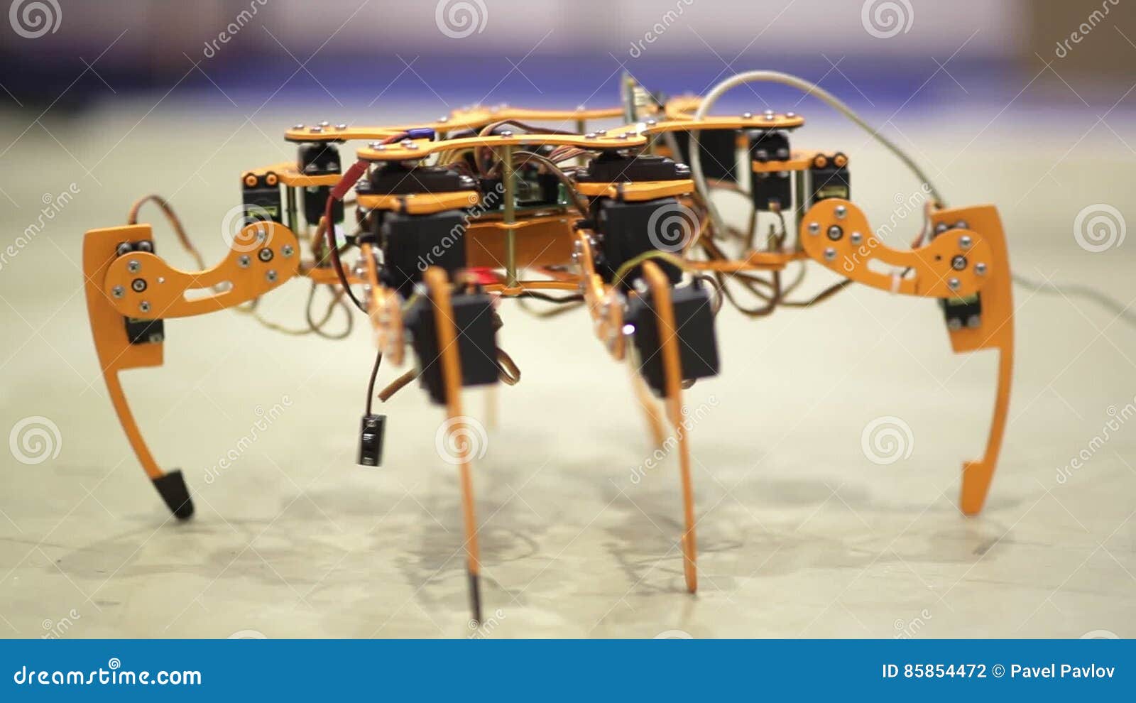 Robot Spider Demonstrates Possibilities of Modern Robotics Stock ...