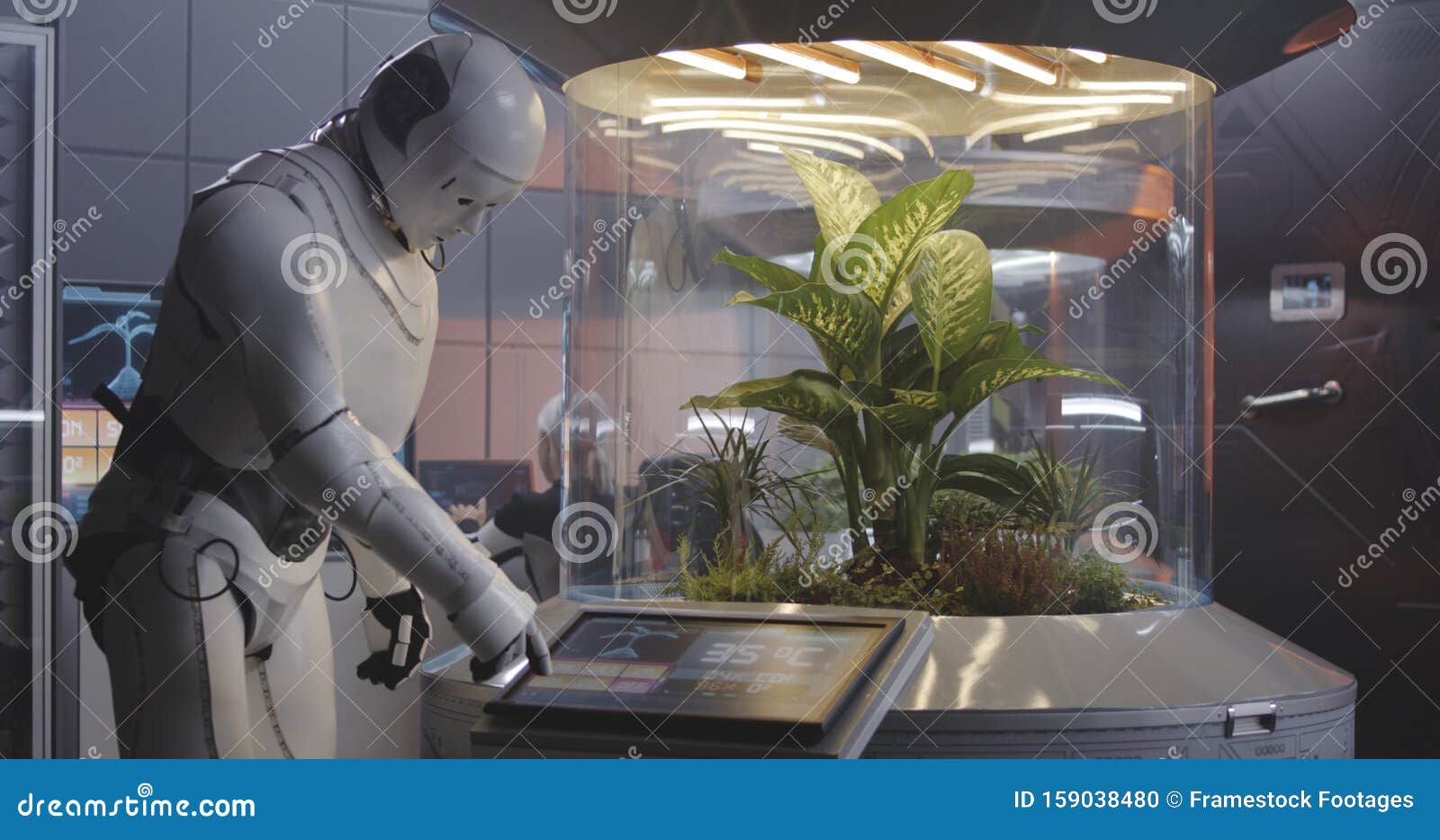 Robot Working with a Plant Incubator Stock Photo - Image of expert ...