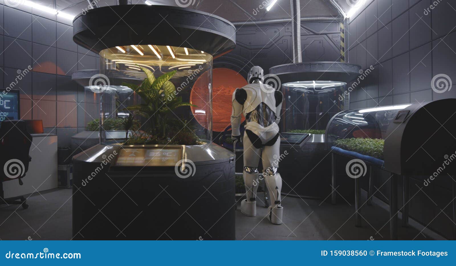 Robot Working with a Plant Incubator Stock Photo - Image of humanoid ...