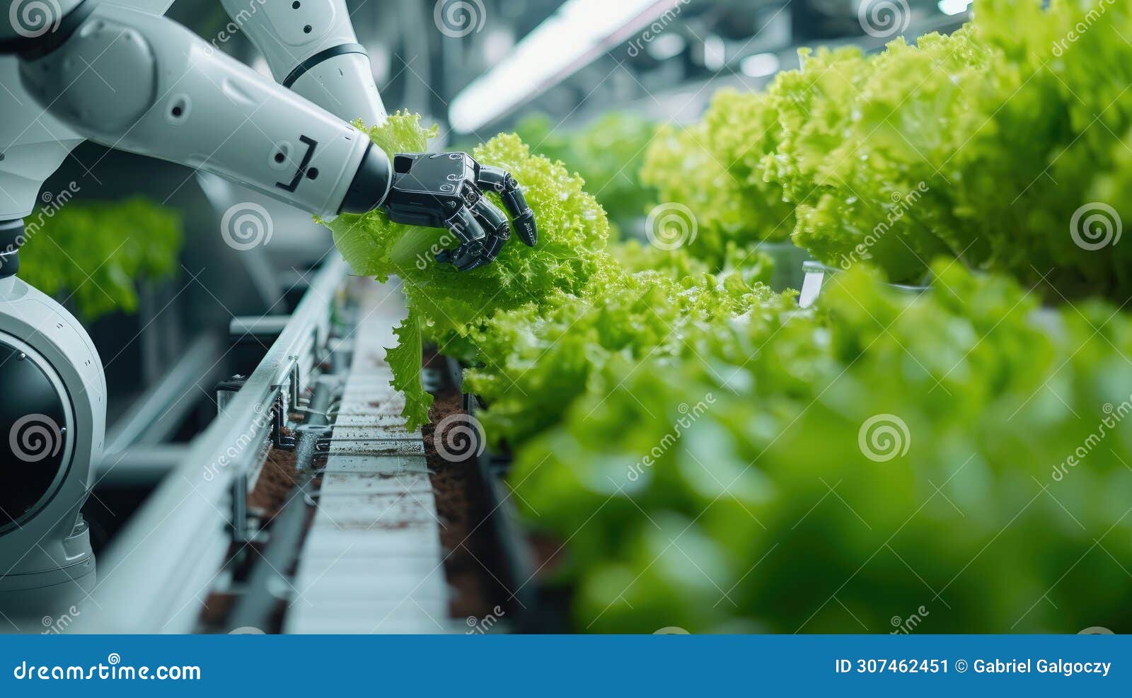 Robotic Arm Artificial Intelligence Computer Automated Machine ...